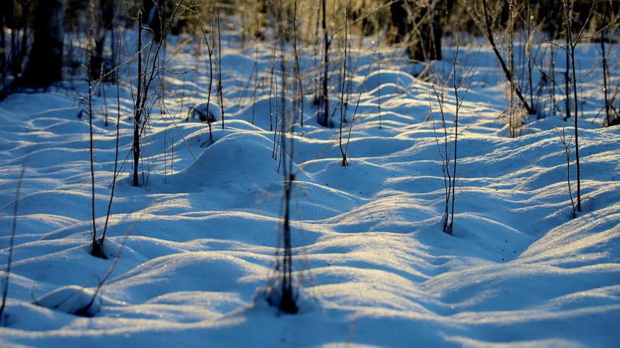 Suomen sää helmikuussa tilastojen mukaan - Forecan Sääpedia - Foreca.fi